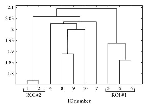 dendrogram obtained from clustering of the pairwise mutual distances