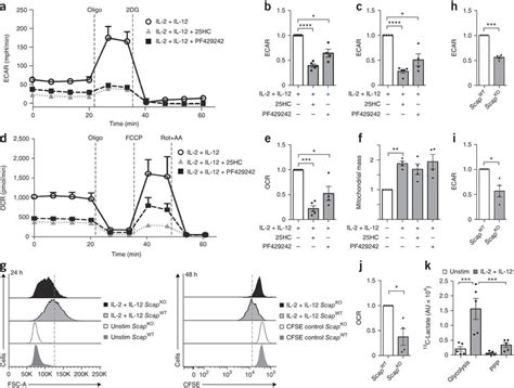 Srebp Transcription Factors Are Required For Cytokine Induced