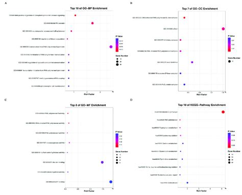 The Top Functional Enrichment Results Of The Target Genes Of
