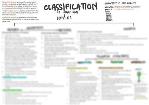 Solution Classification Of Organisms A Level Biology Cheat Sheet