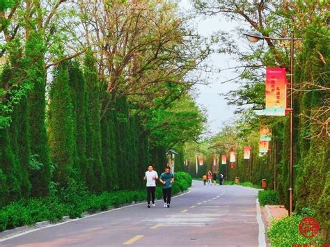 章丘绣惠街道开展全民动员环境清洁活动 记者直击 舜网新闻