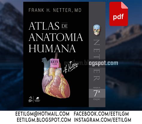 Netter Anatomia Libro