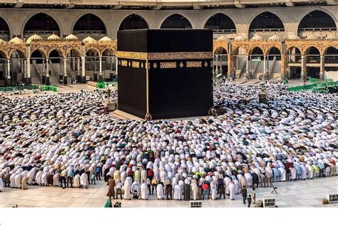 وَالَّذِينَ آمَنُوا وَعَمِلُوا الصَّالِحَاتِ لَنُبَوِّئَنَّهُمْ مِنَ