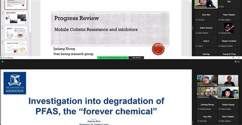 msc progress review by junlang and vito leung research group