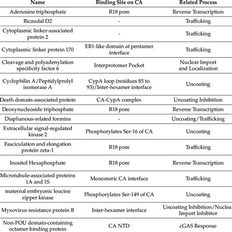 Summary Of Capsid Binding Host Cell Factors Download Scientific Diagram