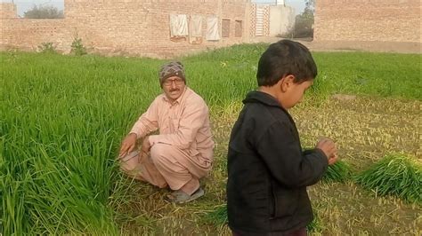 Allah Khair Kare Youtube