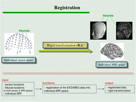 Ppt Advanced Eegmeg Source Reconstruction Methods For Brain Activity
