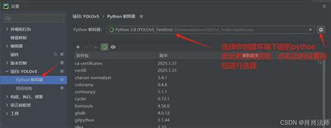 Github Yolov5 开源代码项目手把手调试，运行出结果yolov5 Github Csdn博客