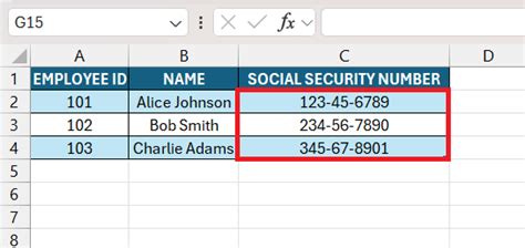 How To Get Social Security Number Format In Excel Myexcelonline