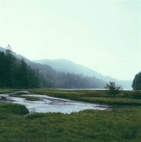엑셀 데이터를 한글 문서로 붙여넣는 쉬운 방법 셀니고 엑셀 데이터를 한글 문서로 붙여넣는 쉬운 방법 셀니고
