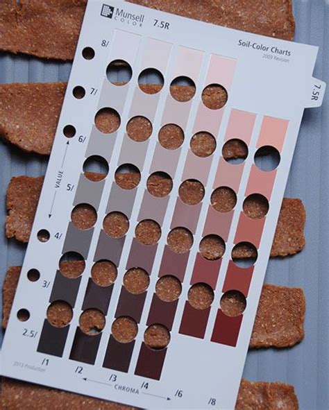 Bacon Color From Chewy To Extra Crispy Munsell Color System Color