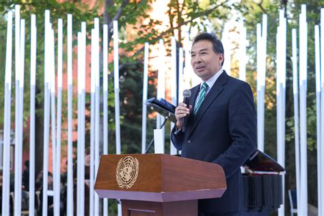 联合国驻华系统庆祝联合国日暨中华人民共和国恢复联合国合法席位50周年中国国情中国网