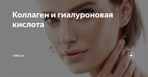 Коллаген и гиалуроновая кислота Sibella Дзен
