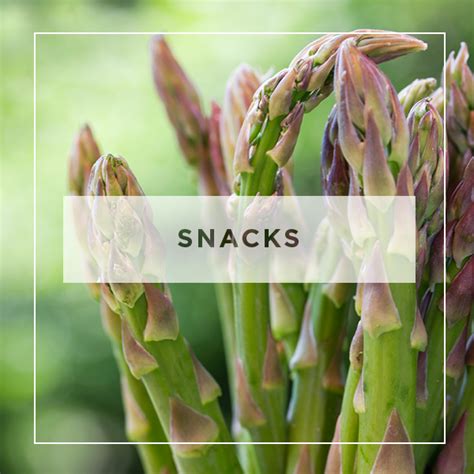 Recipes • Total Body Nourishment Lauren Venosta