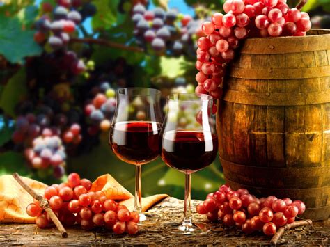 Tipos De Uvas Mais Populares Usadas Na Produção De Vinhos Arquiteta