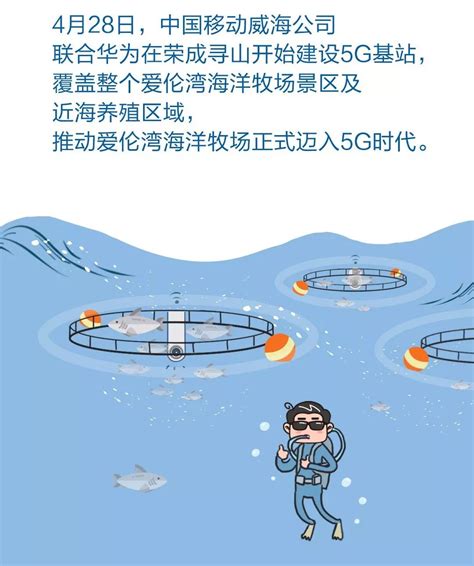在5g智慧海洋牧场，收获好多好多好多好多小海鲜 搜狐大视野 搜狐新闻