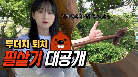 두더지퇴치 이거면 끝장납니다 두더지 박멸시키는법 대공개 Youtube