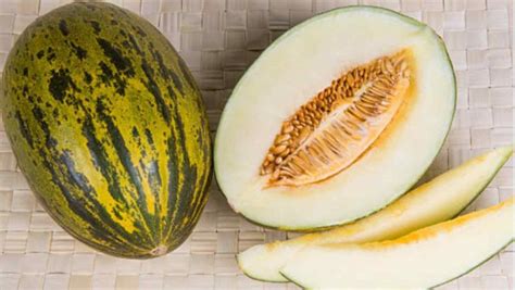 ¿los Gatos Pueden Comer Melón