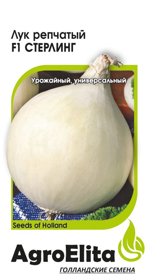 ЛУК РЕПЧАТЫЙ