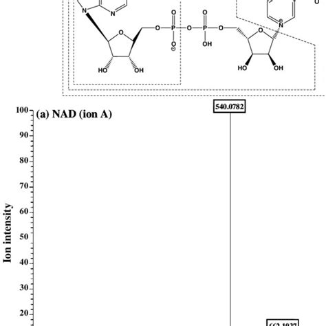 MS MS Analyses Of The Five Ions In The Negative Ion Mode Analysis Download Scientific Diagram