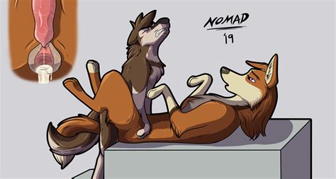 Rule 34 Absurd Res Age Difference Alaskan Malamute Animal Genitalia