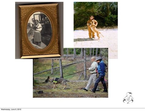 Shaping Behaviors Agile Carolinas June 10 2010 Pdf