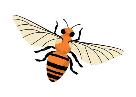 Cute Insect Vector Concept Stock Illustration Illustration Of Line