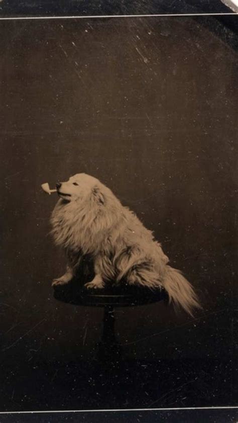 28 Weird Oddities From History Gallery Ebaums World