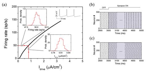 Model Of Inhibitory Neurons A Firing Rate Vs External Drive For