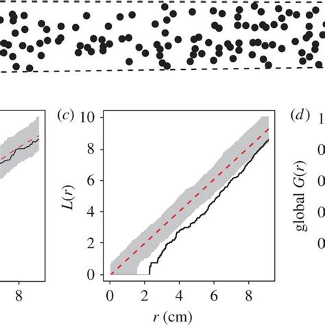Characteristic Spatio Temporal Colonization Patterns A Segment 16