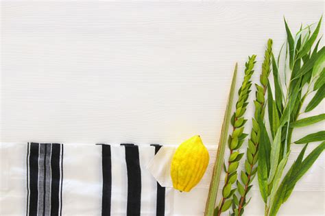 유대인의 초 막 절 축제입니다 전통적인 기호 Etrog Lulav Hadas 아 라바 0명에 대한 스톡 사진 및 기타 이미지