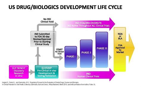 Drug Development Life Cycle