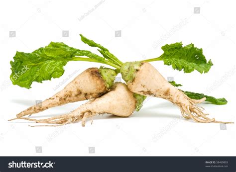 Sugar Beet On White Background Stock Photo Shutterstock