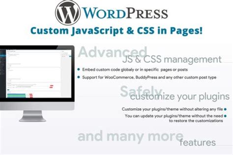 افزونه Custom Javascript And Css In Pages افزونه اضافه کردن کد جاوا و