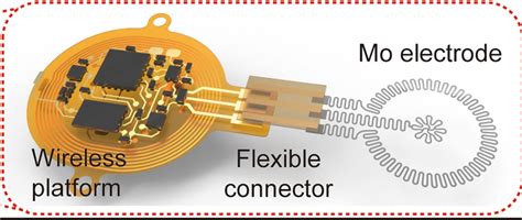 Bandajul Biodegradabil Inteligent Promite O Vindecare Rapidă