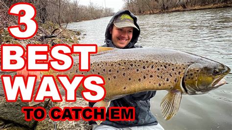 Top 3 Baits You Need To Catch Huge Trout From Shore Youtube
