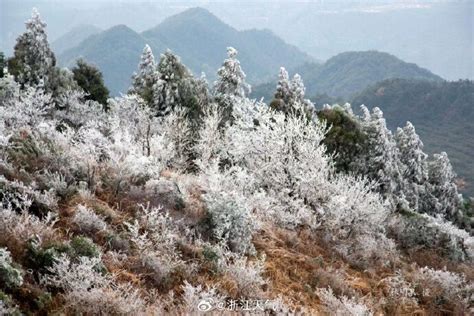 冰冻或严重冰冻浙江出现极端寒潮可能性增大 绍兴网