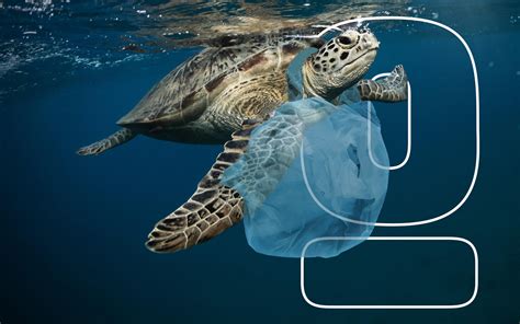 why plastic bags should be banned 5 reasons environment co