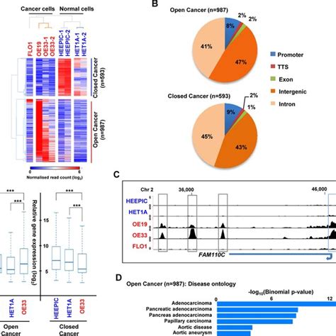 Etv1 Binding Regions Are Associated With Open Chromatin A Chip Seq