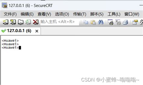 Ensp Securecrt Ensp Ensp Ip Csdn