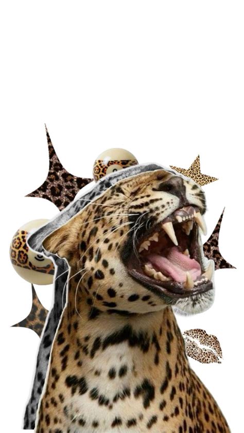 Pinterest Cheetah Print Wallpaper Leopard Wallpaper Leopard Print Wallpaper