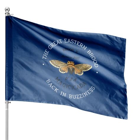 Cicada Insect Great Eastern Brood X Usa 2021 Magicicada House Flags