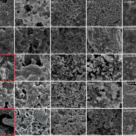Biomineralization Of Caco3 Through Hydrolysis Of Urea Using Bacteria Download Scientific