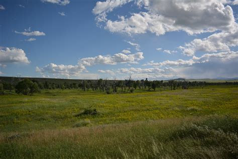 Montana Northern Plains Free Photo On Pixabay
