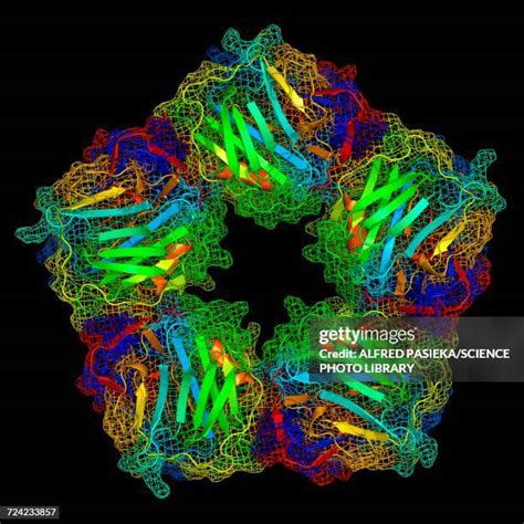 C Reactive Protein Photos And Premium High Res Pictures Getty Images