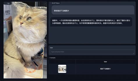 Mpp Qwen14b 终章：一行代码搞定模型并行推理chatml对话模板debug 真假小猫问题 知乎