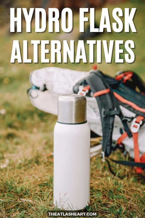 11 BEST And CHEAPEST Hydro Flask Alternatives 2024