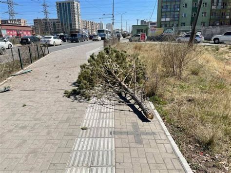 ЯРИЛЦЛАГА ГЭРЭЛТ ИРЭЭДҮЙ КОВИД 19 ЭРГЭЛТИЙН ДУРАН Согтуу жолооч замын