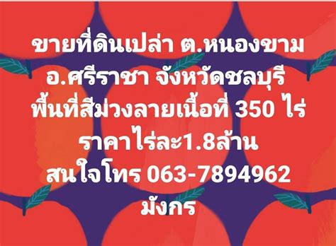 ขายที่ดินเปล่า ต หนองขาม อ ศรีราชา จังหวัดชลบุรี พื้นที่สีม่วงลายเนื้อ