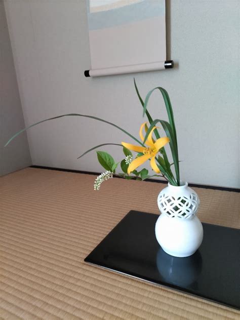 茶道のお稽古の茶花は小葉の髄菜と姫萱草 慈庵へようこそ 茶道